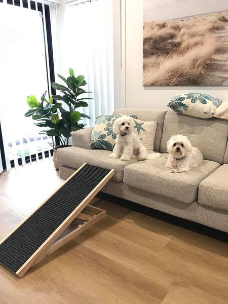 Dashie Dog Ramps - Australian Made Dog Ramps