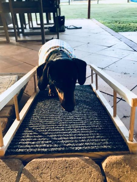Dashie Dog Ramps - Australian Made Dog Ramps