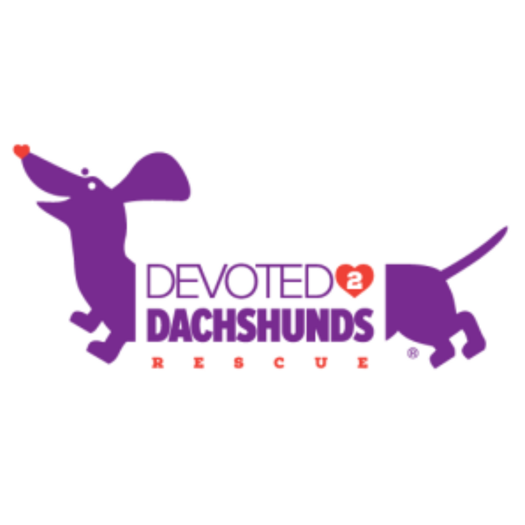 Shipping Policy – Dashie Dog Ramps