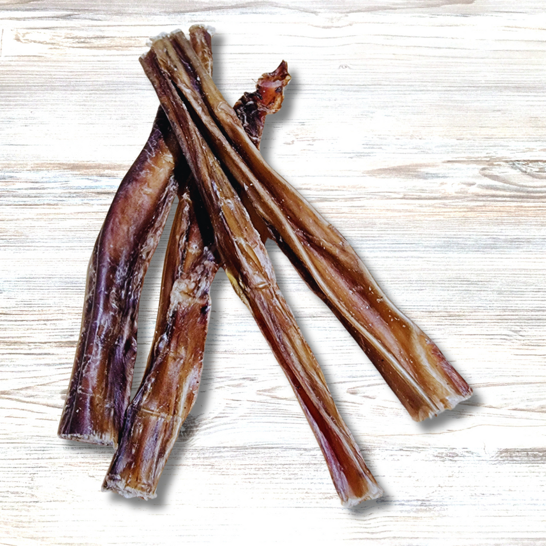 Products – Dashie Dog Ramps